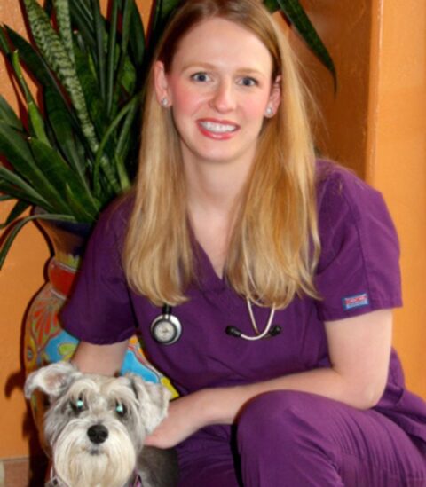 Veterinarian In Canyon, TX 79015 | Palo Duro Animal Hospital