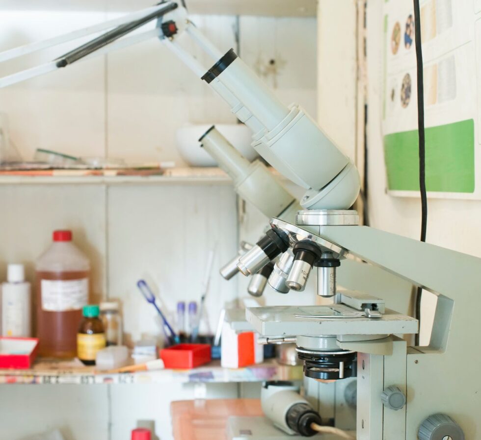 In-House Pet Laboratory In Canyon, TX 79015 | Palo Duro Animal Hospital